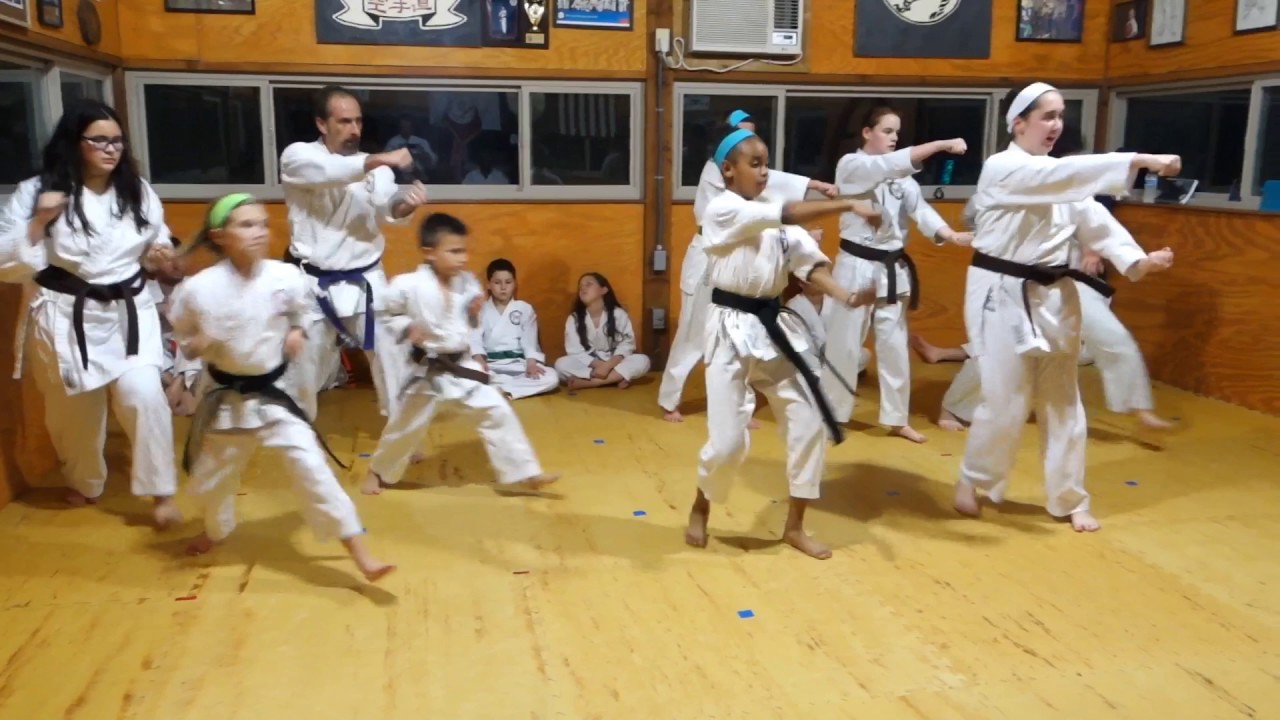 Kaizen Dojo Testing (Jan 2017) - YouTube