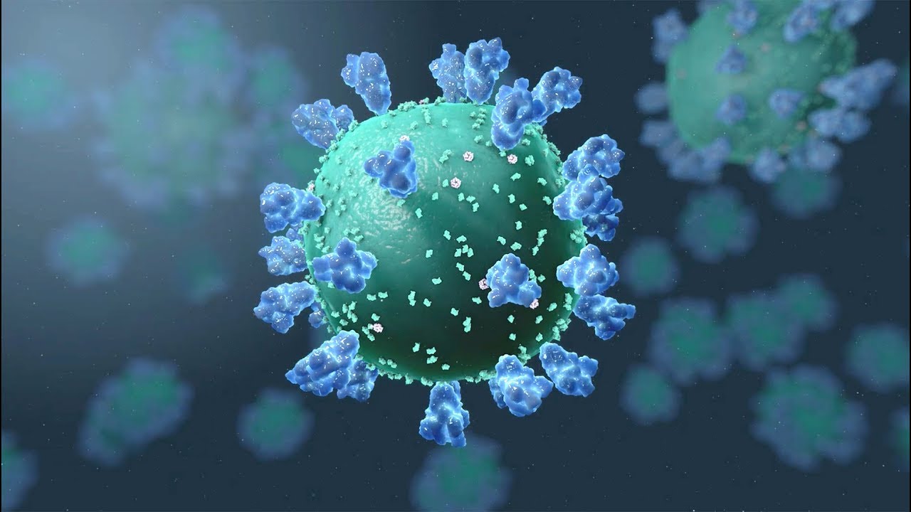 3D Animation: SARS-COV-2 virus transmission leading to COVID-19 ...