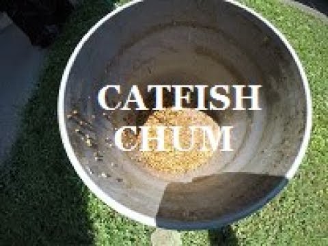 How To Make Catfish Chum | Cheap - YouTube