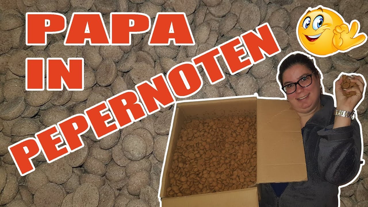 JAYSON PAKT PAPA TERUG MET PEPERNOTENPRANK!!! - KOETLIFE VLOG - YouTube