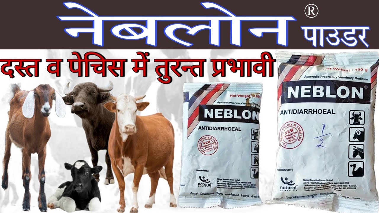 bakri ke dast Ki Dava | बकरी में दस्त की दवा | Neblon Powder | uses ...
