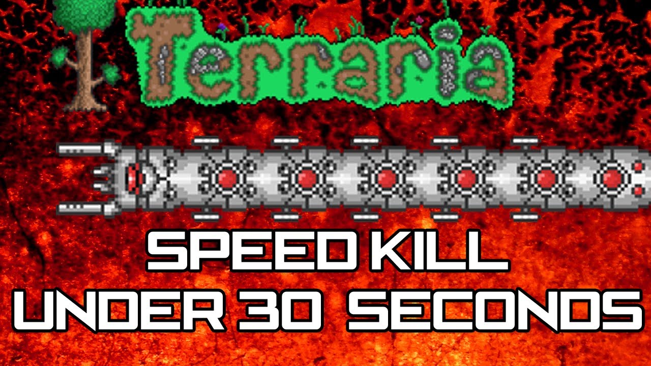 Killing The Destroyer UNDER 30 SECONDS!! | Terraria Speed Kills - YouTube
