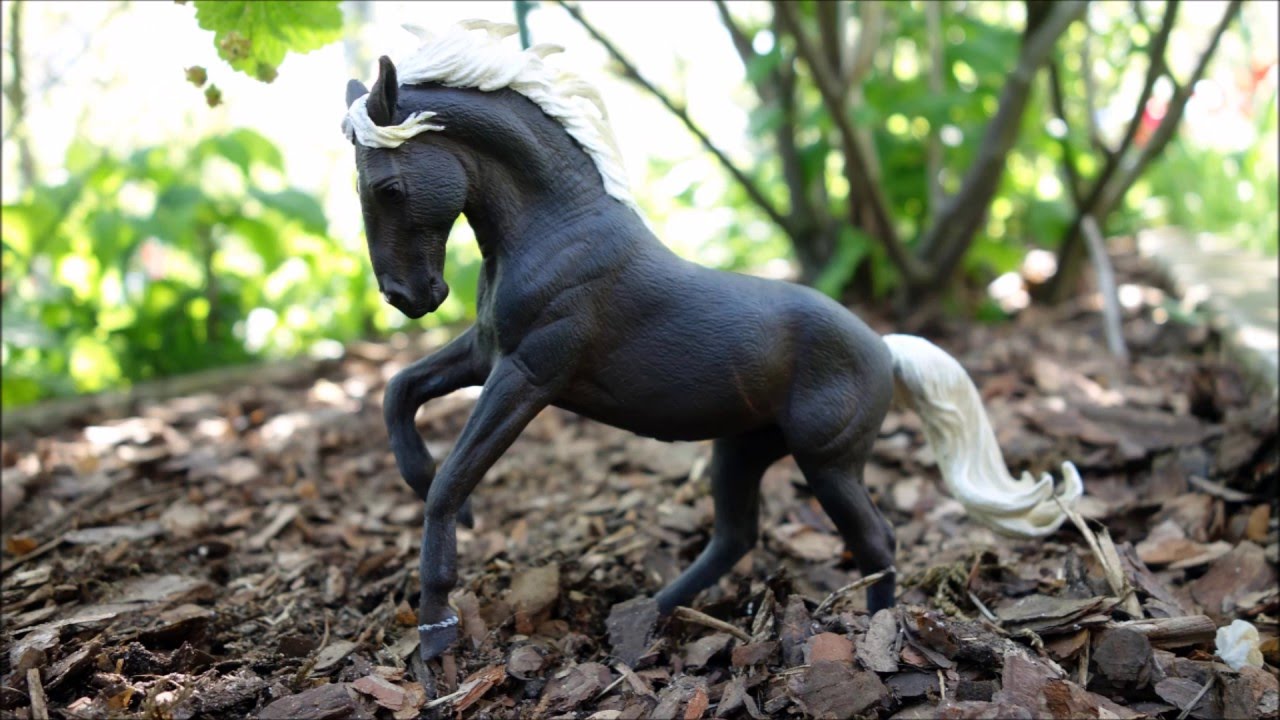 Collecta Custom - YouTube