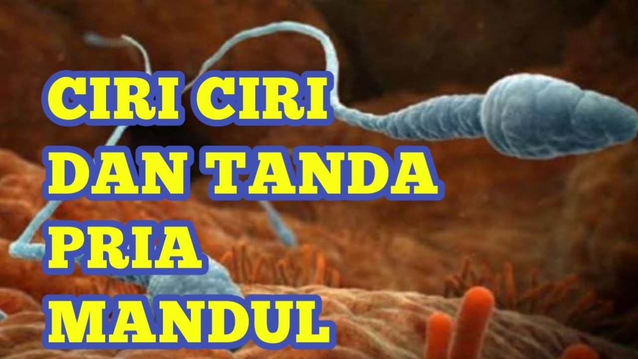 Penyebab Dan Ciri ciri Kemandulan Pada Pria - YouTube