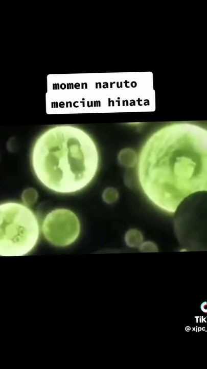 Momen Naruto bersama Hinata - YouTube