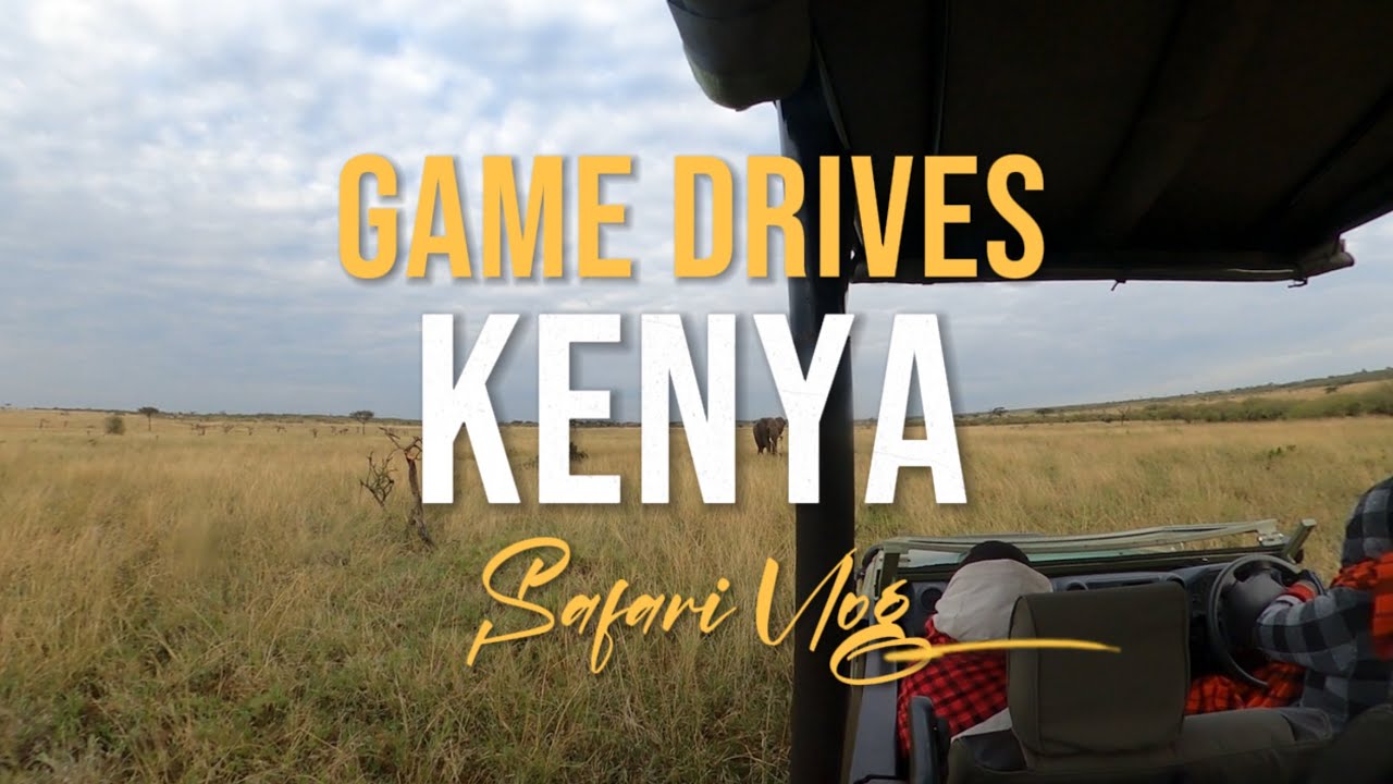 Wildlife game drives Kenya Africa Safari - YouTube