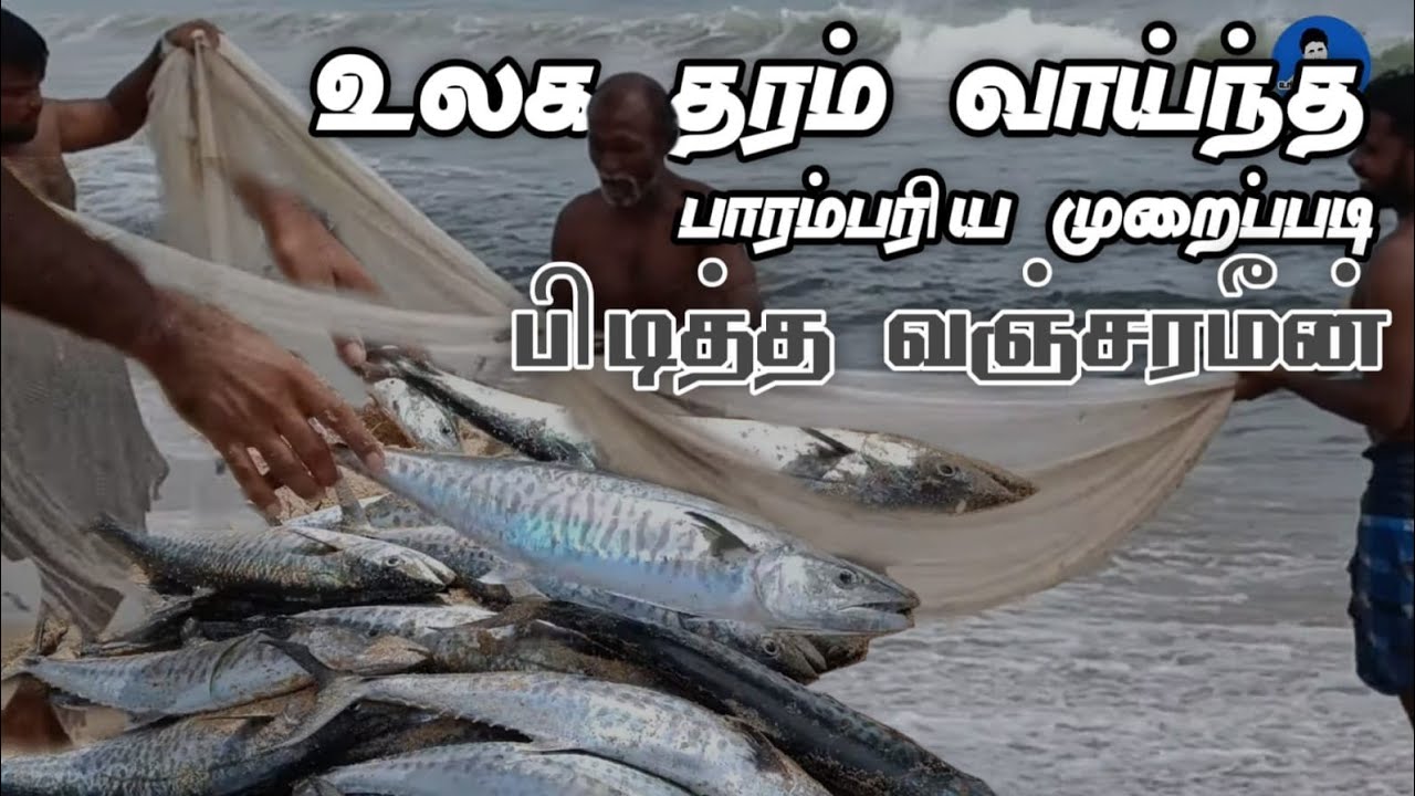 Never Seen Fresh Vanjaram Fish like this | இந்த மாதிரி ப்ரெஷ் வஞ்சரம் ...