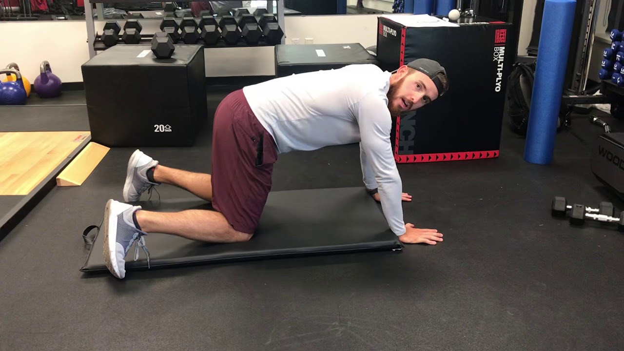 Hand Plank Shoulder Tap - YouTube