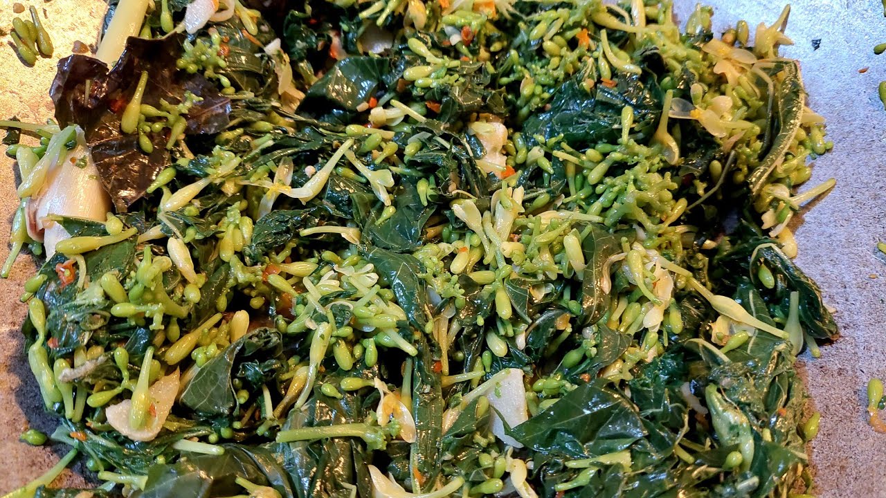 RESEP DAN CARA MASAK SAYUR SINGKONG BUNGA PEPAYA - YouTube