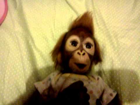 Ashton Drake Monkey - YouTube