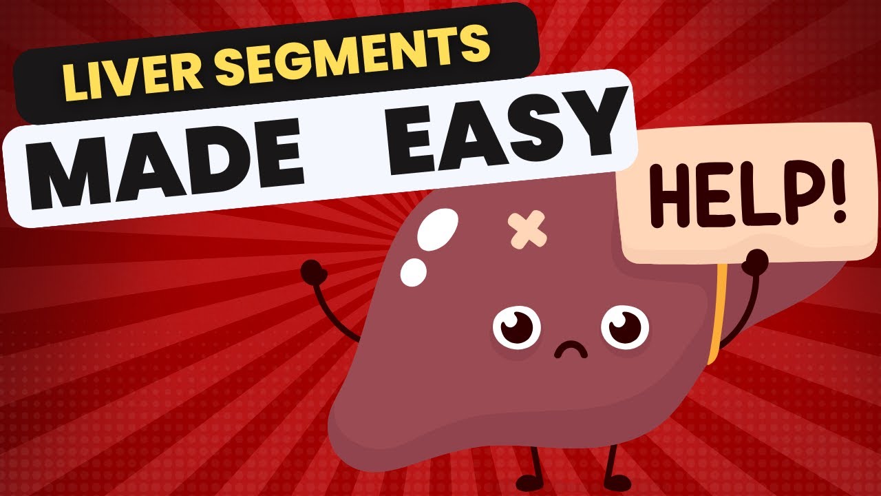 Liver segments anatomy on CT - YouTube