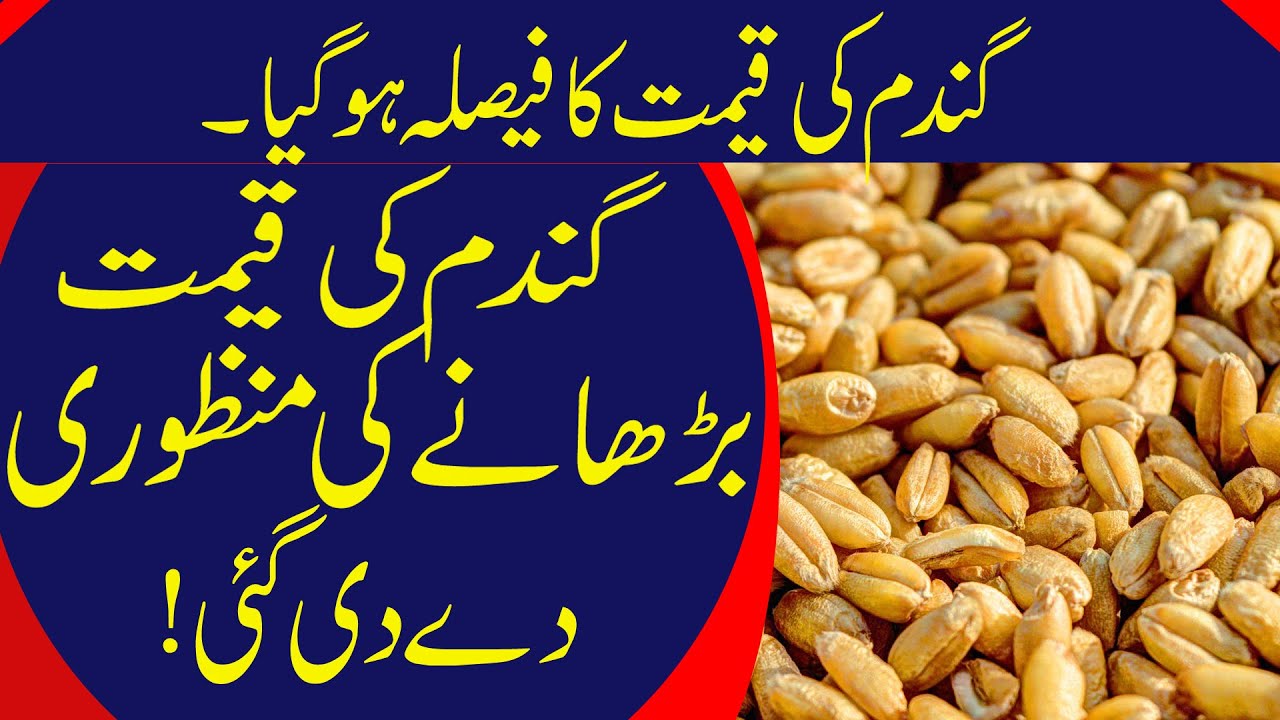 Decided To Raise The Wheat Prices In Pakistan 2020 YouTube decided-to-raise-the-wheat-prices-in-pakistan-2020-youtube