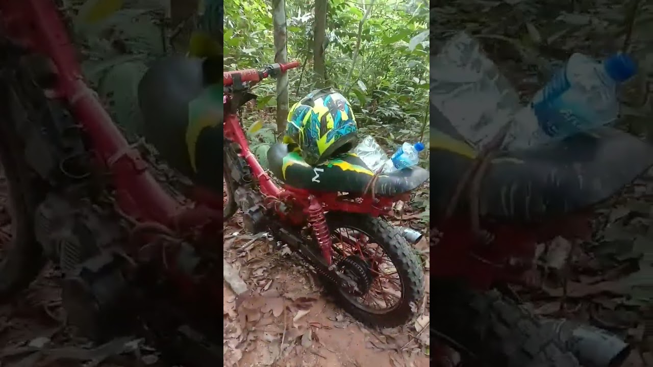 hantu hutan rimba - YouTube