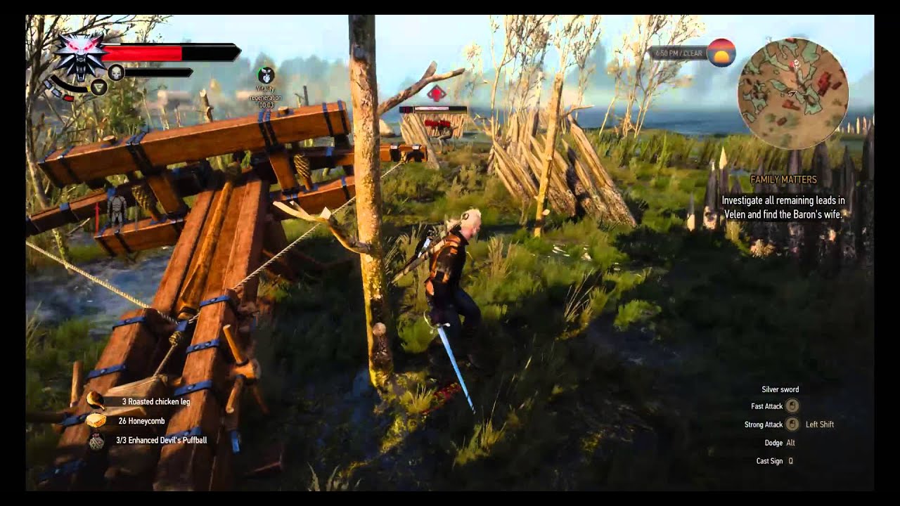 Water Hag The Witcher 3 Bestiary - YouTube