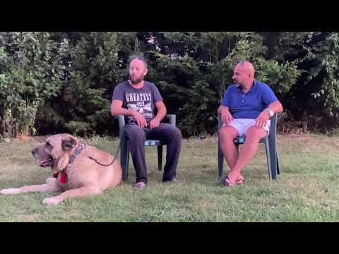 İsmail Doğuç ile Sürü Koruma köpekleri üzerine sohbet