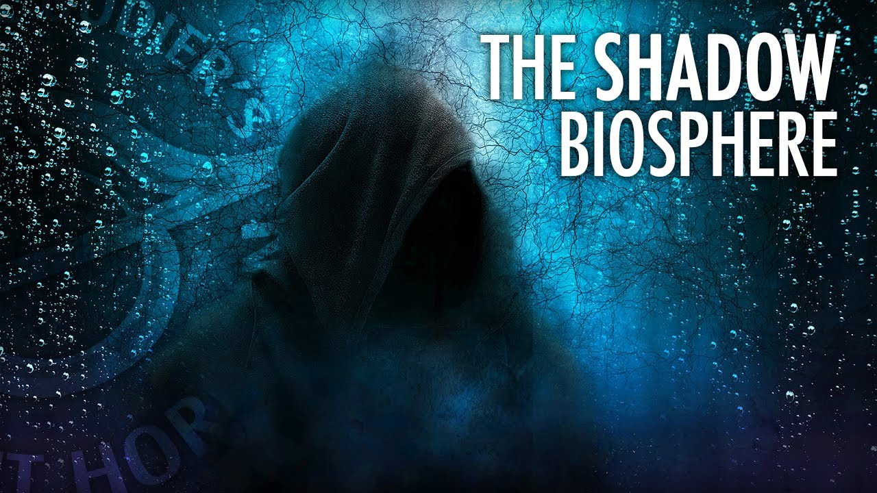 Why We May Not Be Alone on Earth w/ Janusz Petkowski - YouTube