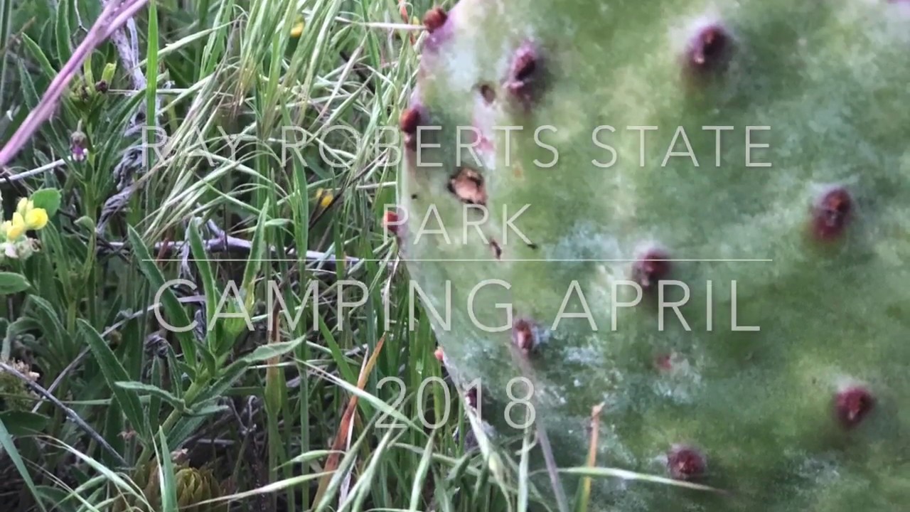 Camping at Ray Roberts State Park - YouTube