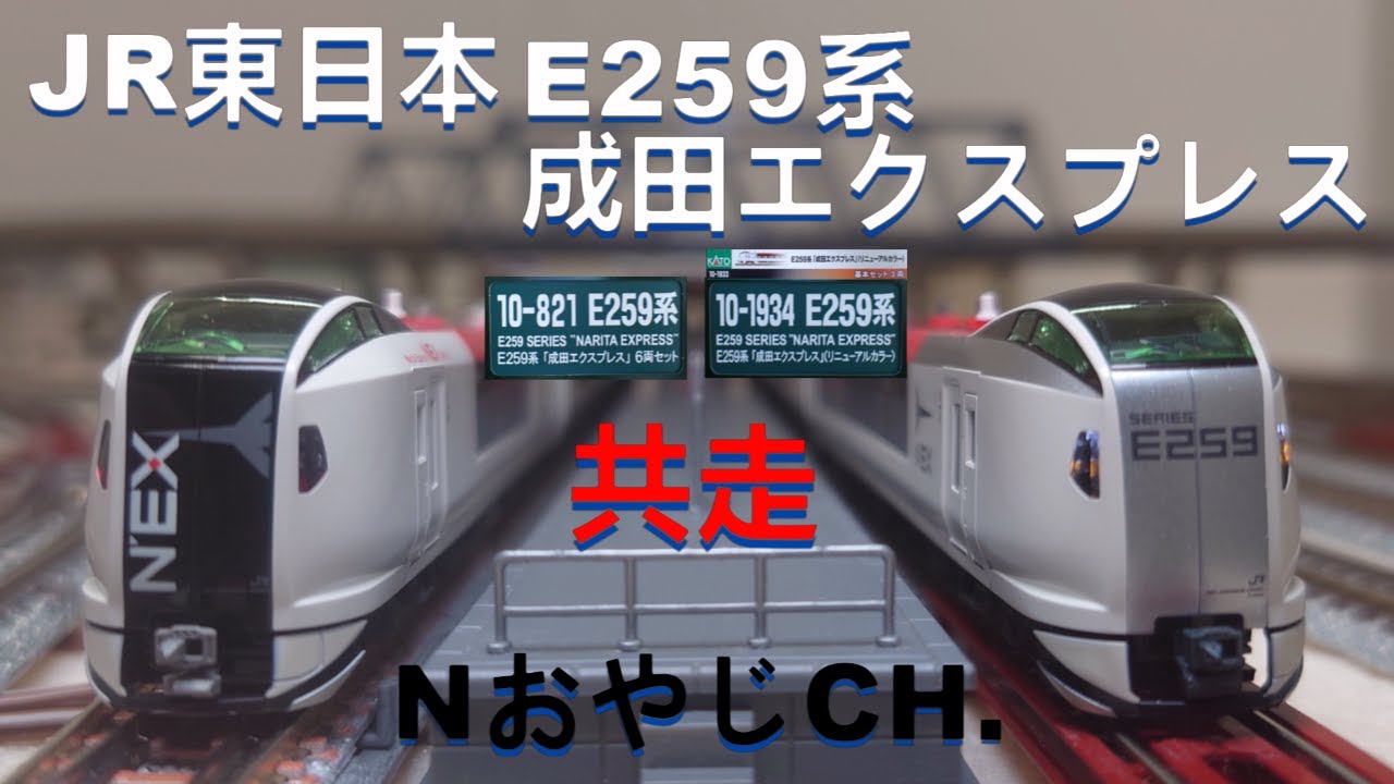 共走 JR東日本 E259系「成田エクスプレス」 JR EAST E259 SERIES “NARITA EXPRESS” ＃train - YouTube
