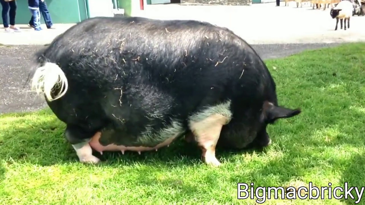 Ricky Truong in real life (Ultra 4k realistic) - YouTube