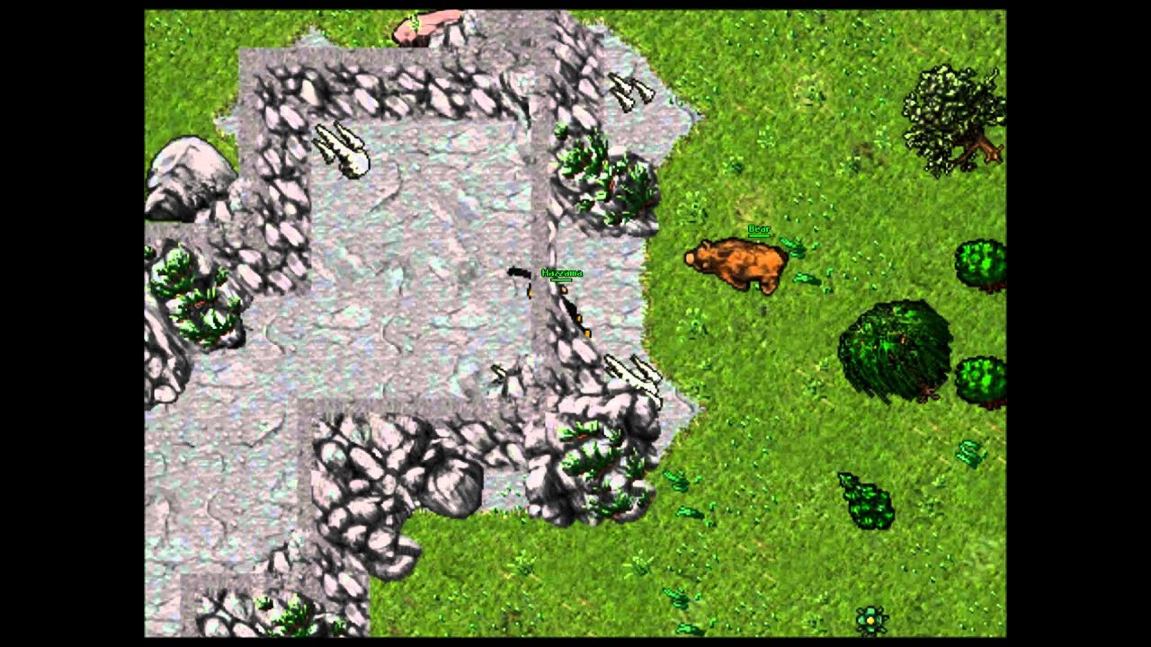tibia mount - how to tame a bear.....wmv - YouTube