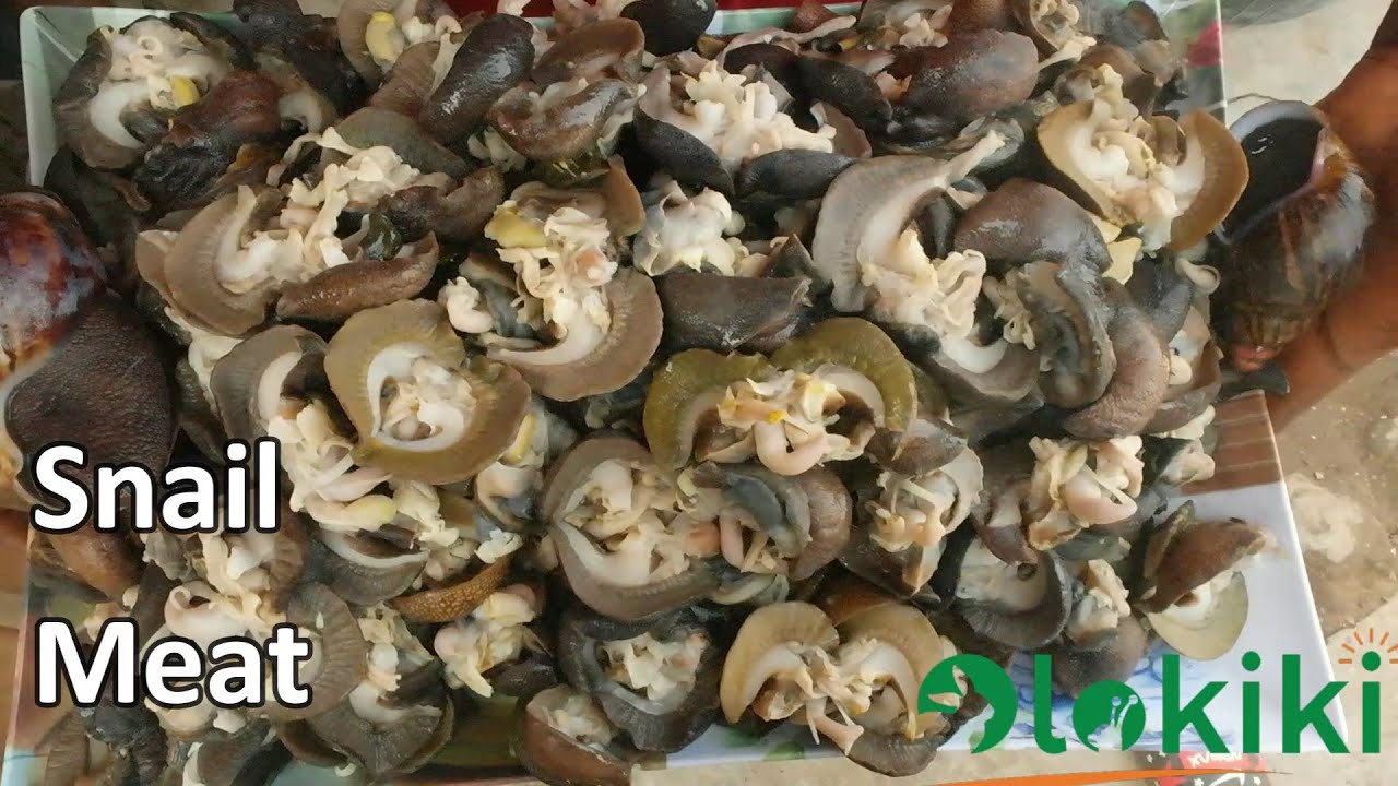 How To Process and Clean Snail Meat - YouTube