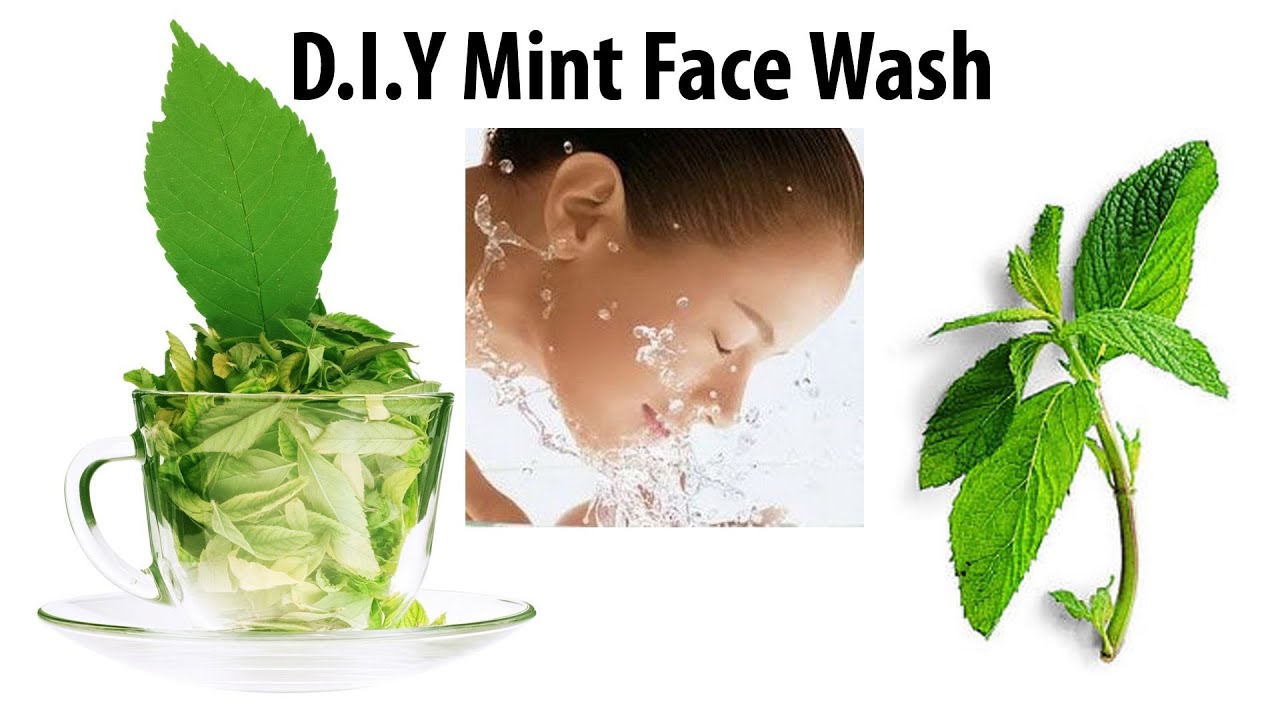D.I.Y Mint Face Wash for Acne Prone/Oily Skin - YouTube