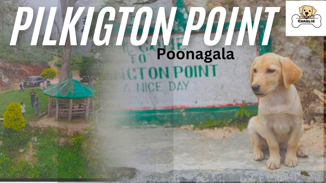 Pilkington Point | Poonagala | Charlie - YouTube
