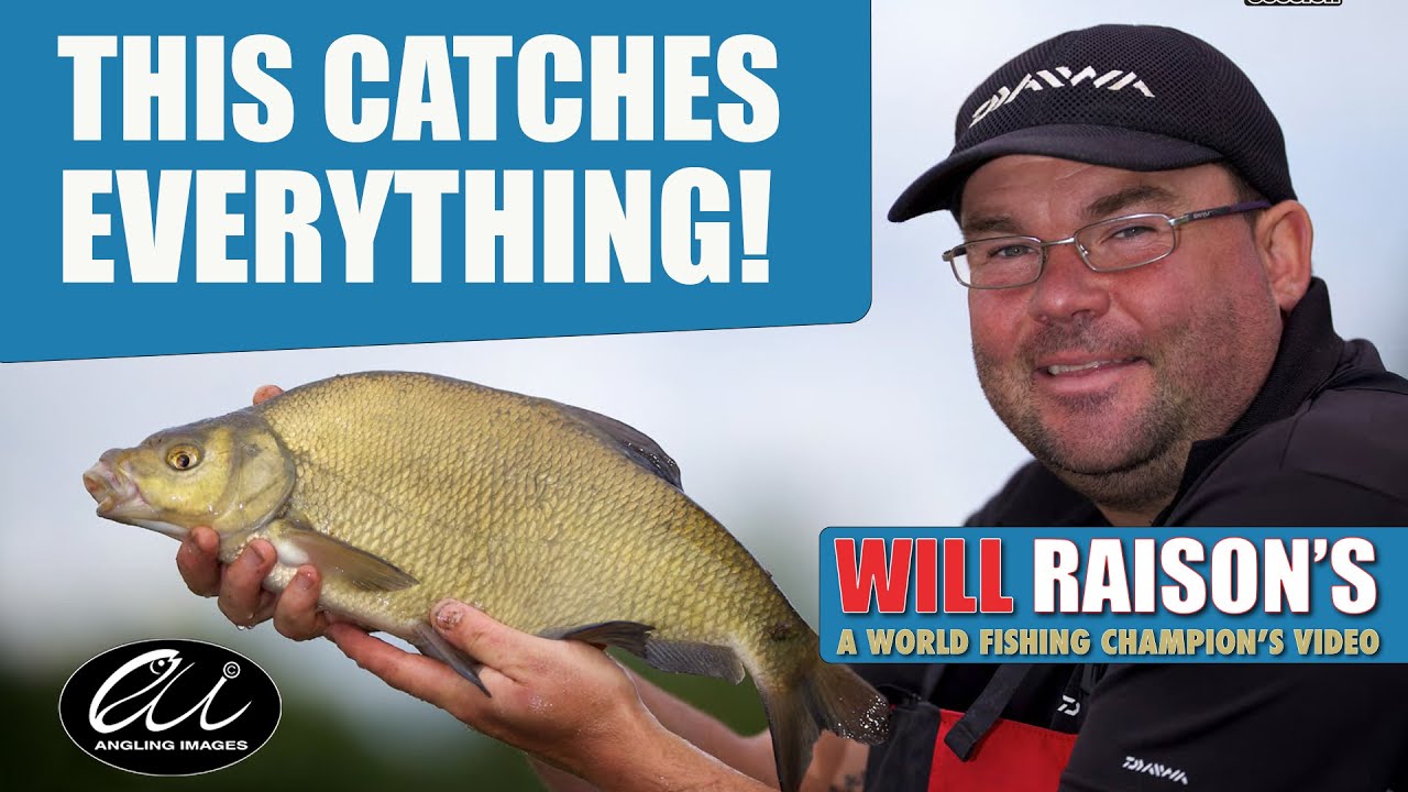 Catch All The Fish In Your Peg On Chopped Worm, Caster & Groundbait ...