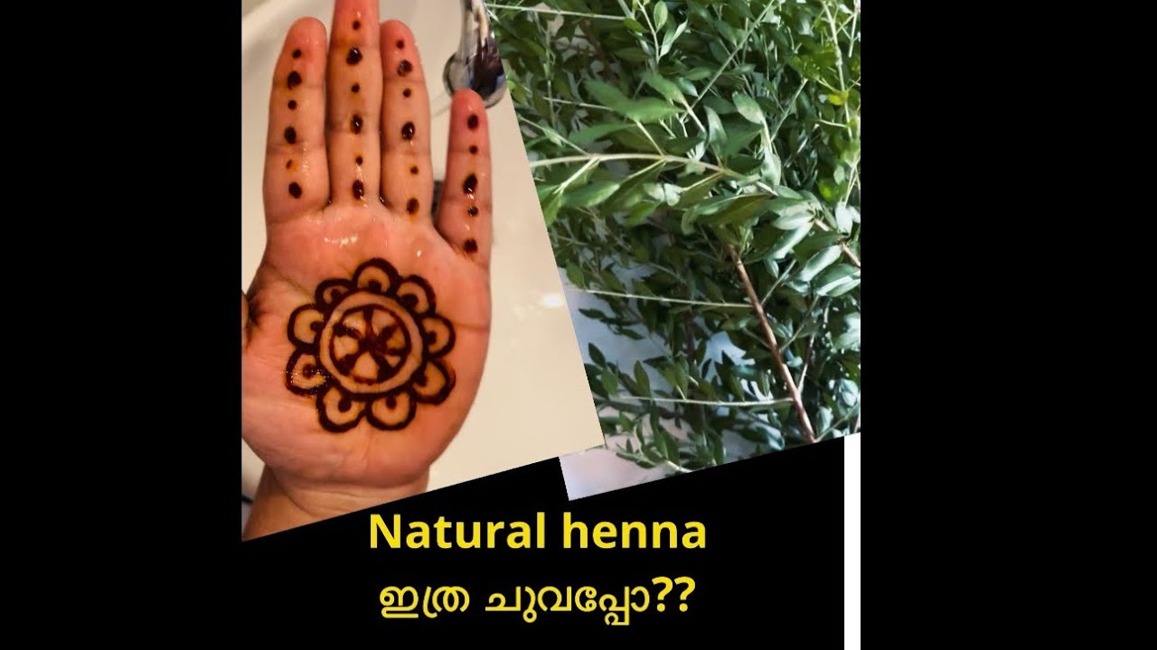 How to get dark colour with natural henna #henna corn making# mehendi ...
