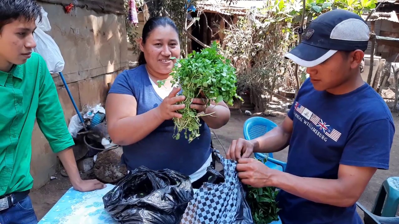 Visitando a doña Beatriz en su dieta con esto muy nutritivo #1 - YouTube