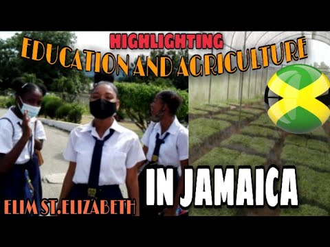HIGHLIGHTING SYDNEY PAGON STEM ACADEMY/ELIM AGRICULTURAL SCHOOL ...