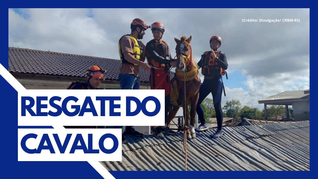 RESGATE DO CAVALO 'CARAMELO' EMOCIONA A WEB - YouTube