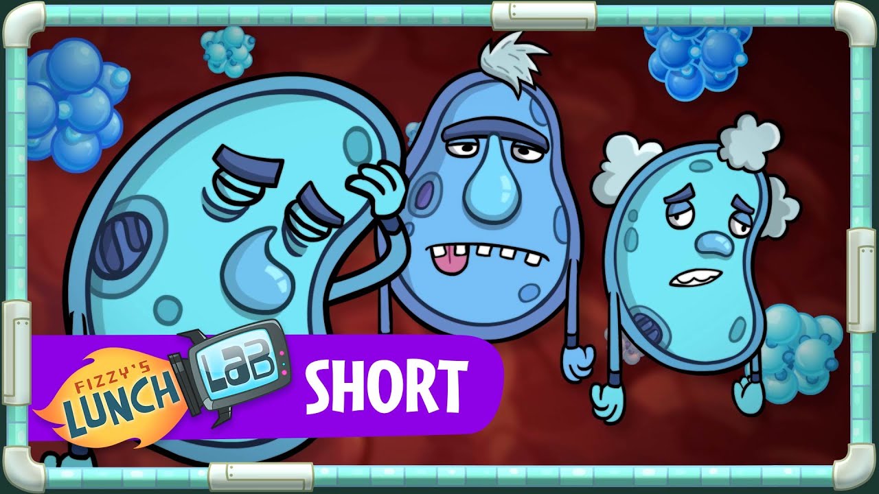 Sully's Sodium Secret: Energizing Cells! 💦 FIZZY'S LUNCH LAB - YouTube