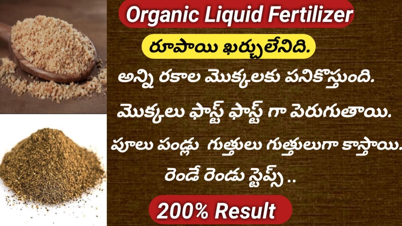 All in One Organic Liquid Frtilizer/NPK Liquid Fertilizer/HomeMade ...
