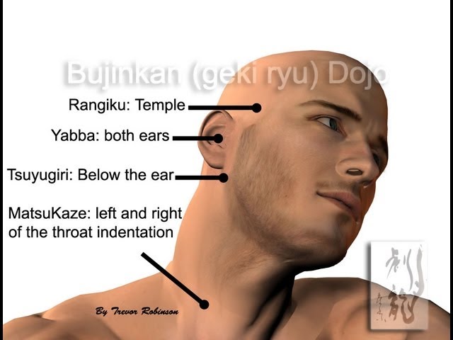Pressure Point Knockout Techniques