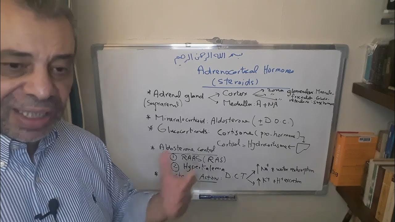 Module 310 - Lecture 8 - Part 1 - YouTube