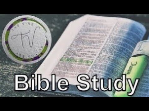 The Vine Bible Study - YouTube