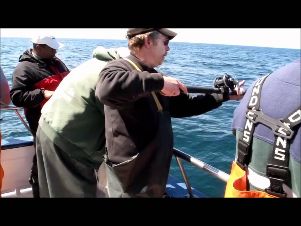 CAPTREE PRINCESS - MAY 7 OFFSHORE COD TRIP - YouTube
