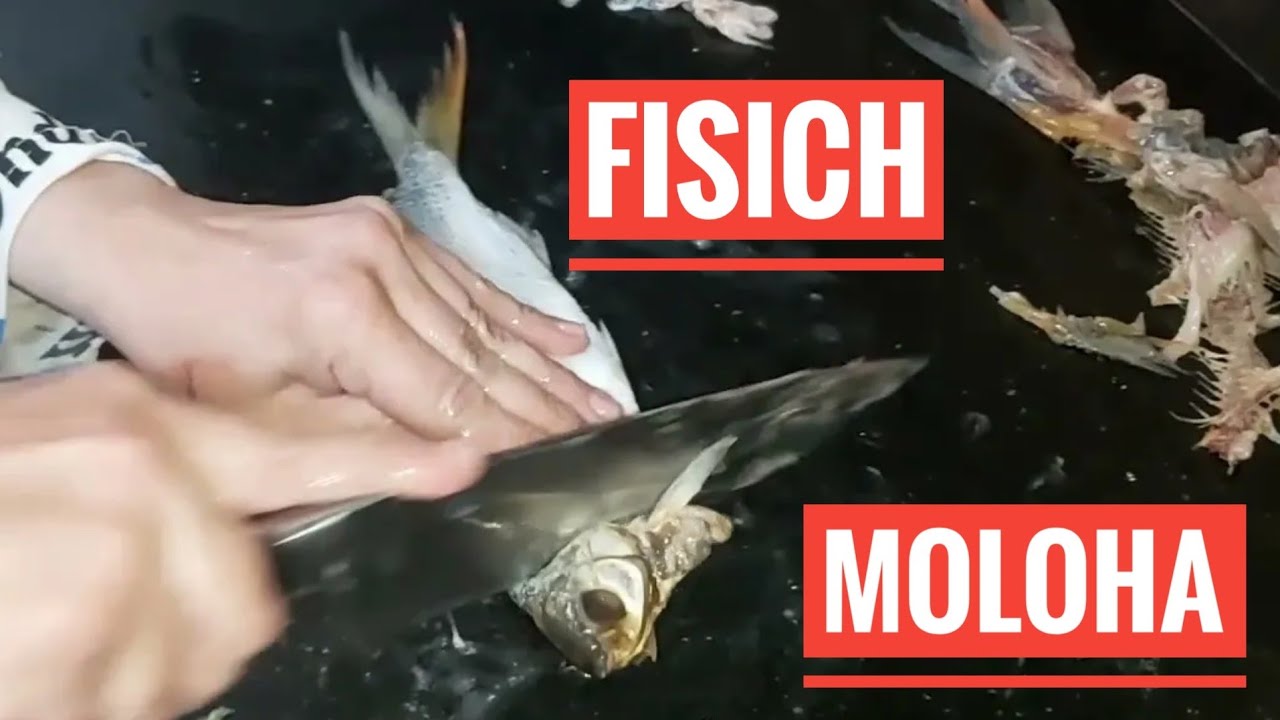Stinkefisch ausnehmen und zubereiten - Fisich Moloha| #DieDeutscheAmNil ...