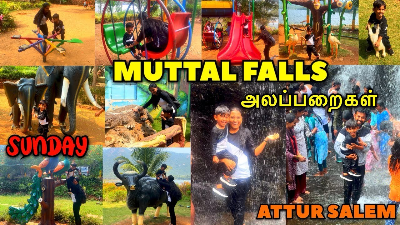 Attur Muttal Anaivari falls | Muttal Falls | Attur | Salem Tourist ...