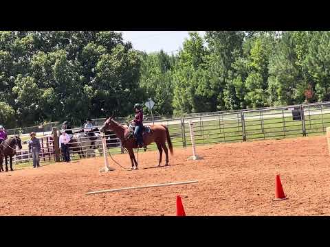 Showmanship beginner - YouTube