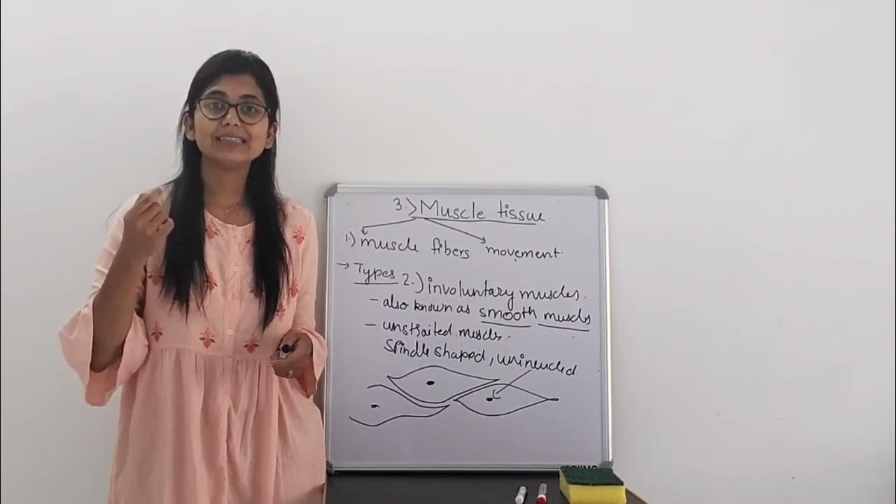 Animal Tissues Class 9 Part 2 Full Explanation - YouTube