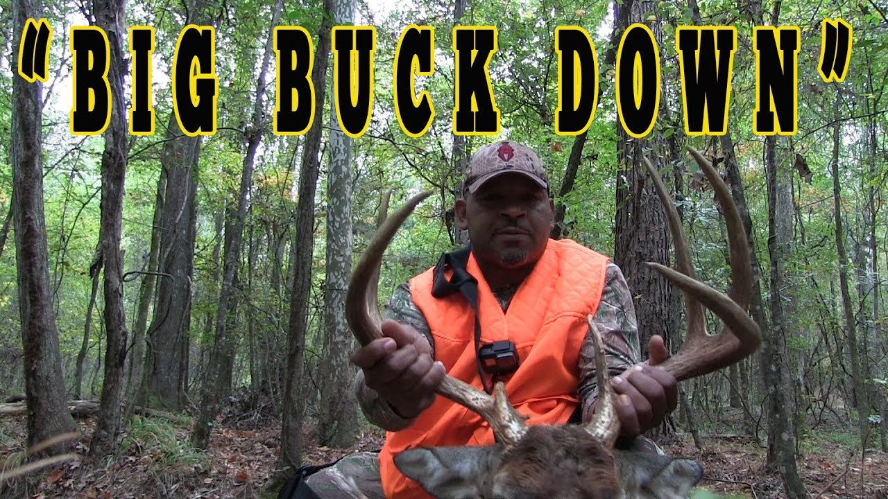 BIG BUCK DOWN - YouTube