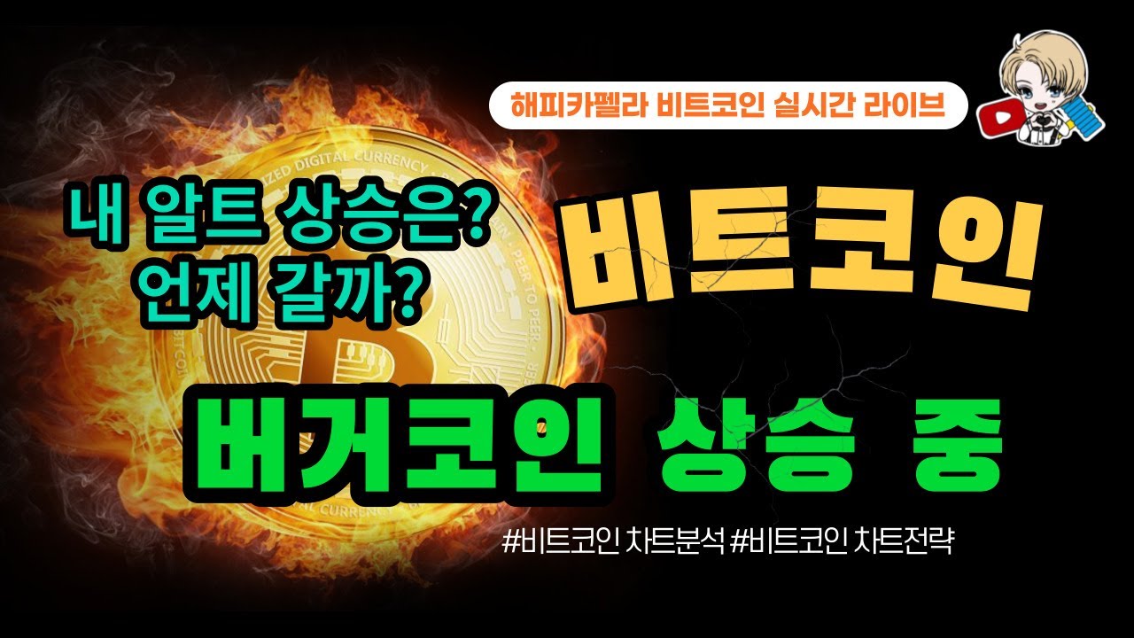 비트코인 실시간 버거코인 상승 중 내 알트는 언제 갈까 116점심💎 비트코인 비트코인실시간 이더리움 리플 Cryptocurrency 차트분석 Youtube