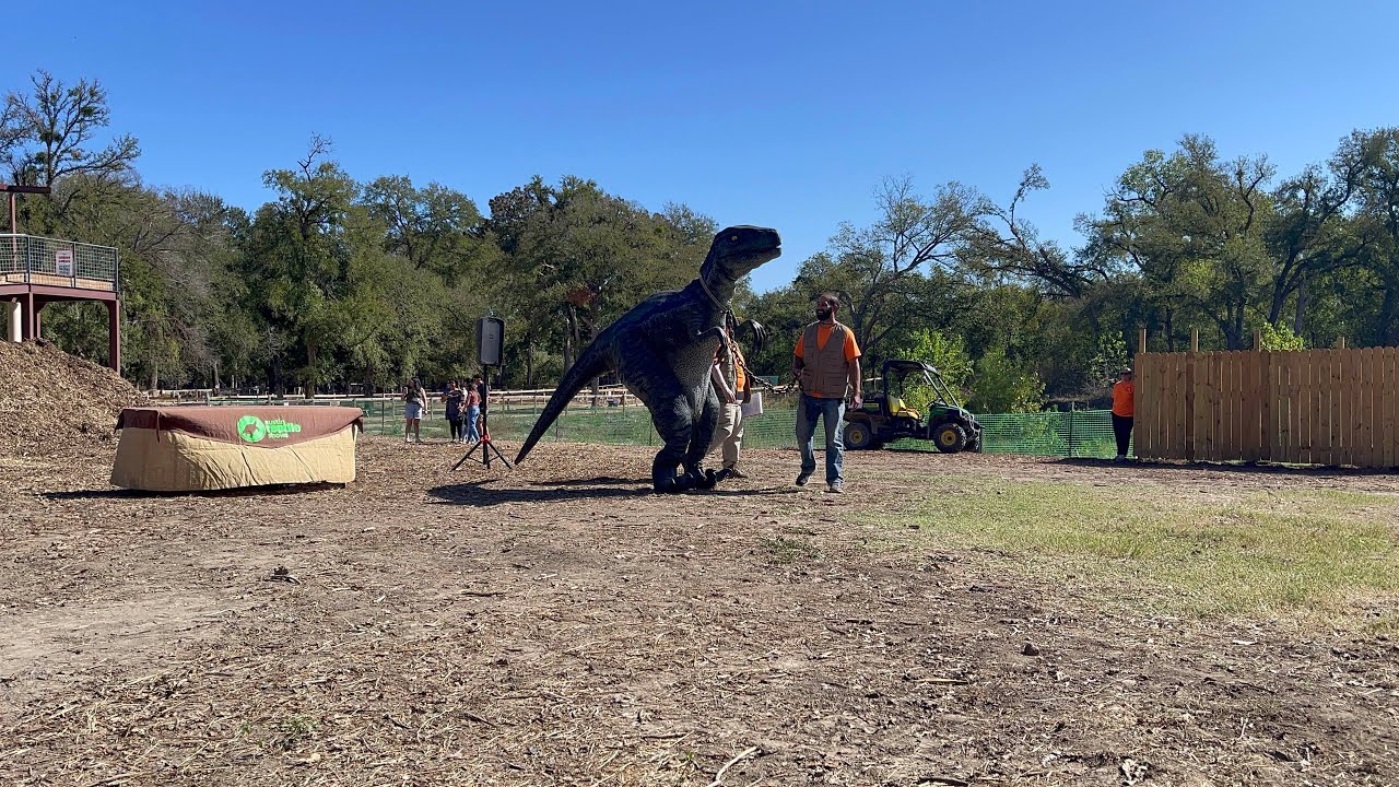 Live Raptor Show at Sweet Eats Adventure Farm - YouTube