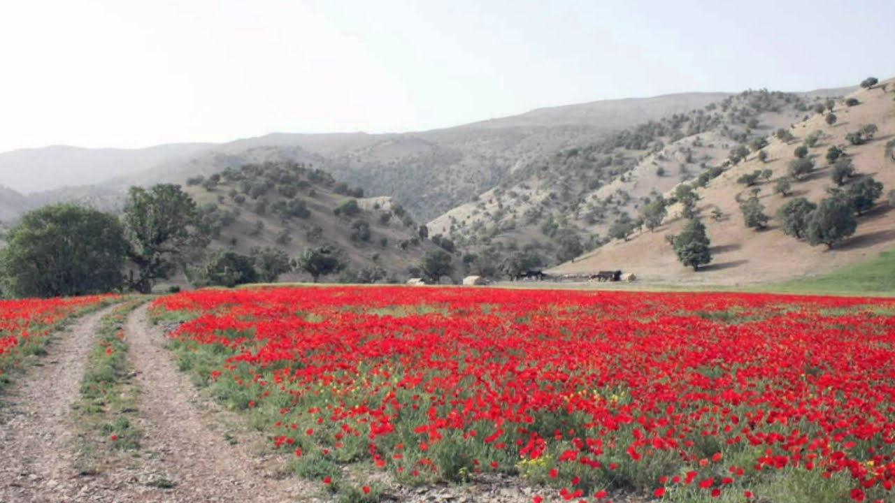 Nature of Ilam - Iran - PART 4 - YouTube