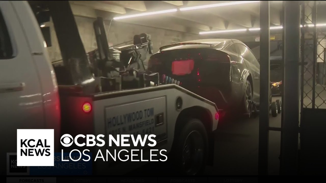New details revealed on woman found inside trunk of Tesla at Hollywood ...