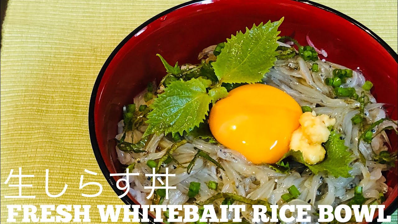 NAMA SHIRASU DONG | FRESH WHITEBAIT RICE BOWL | JAPANESE FOOD - YouTube