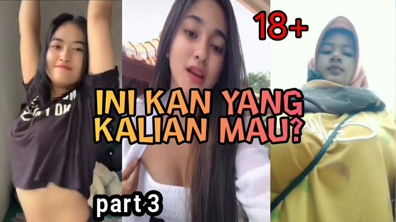 PENYEGARAN TIMELINE!! Kompilasi tiktok cewek cantik pemersatu bangsa part 3 - YouTube