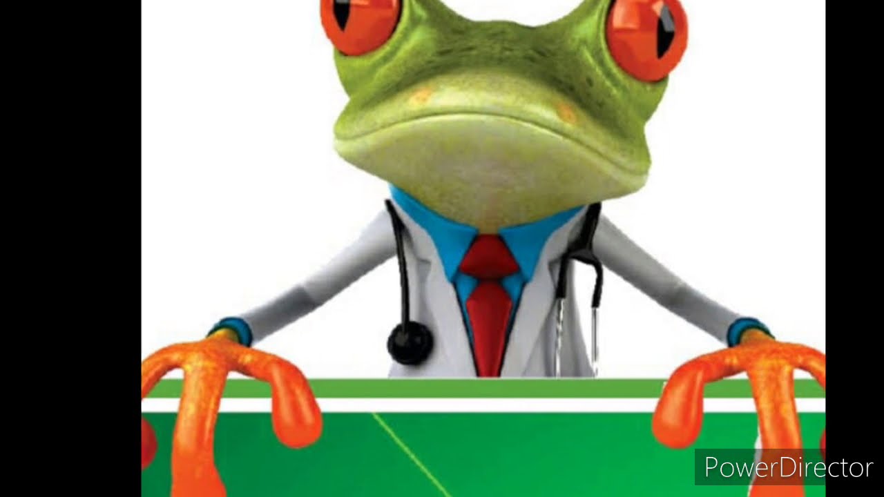 Must Watch! The Story Of Dr. Frog😊 Interesting story with a nice ...